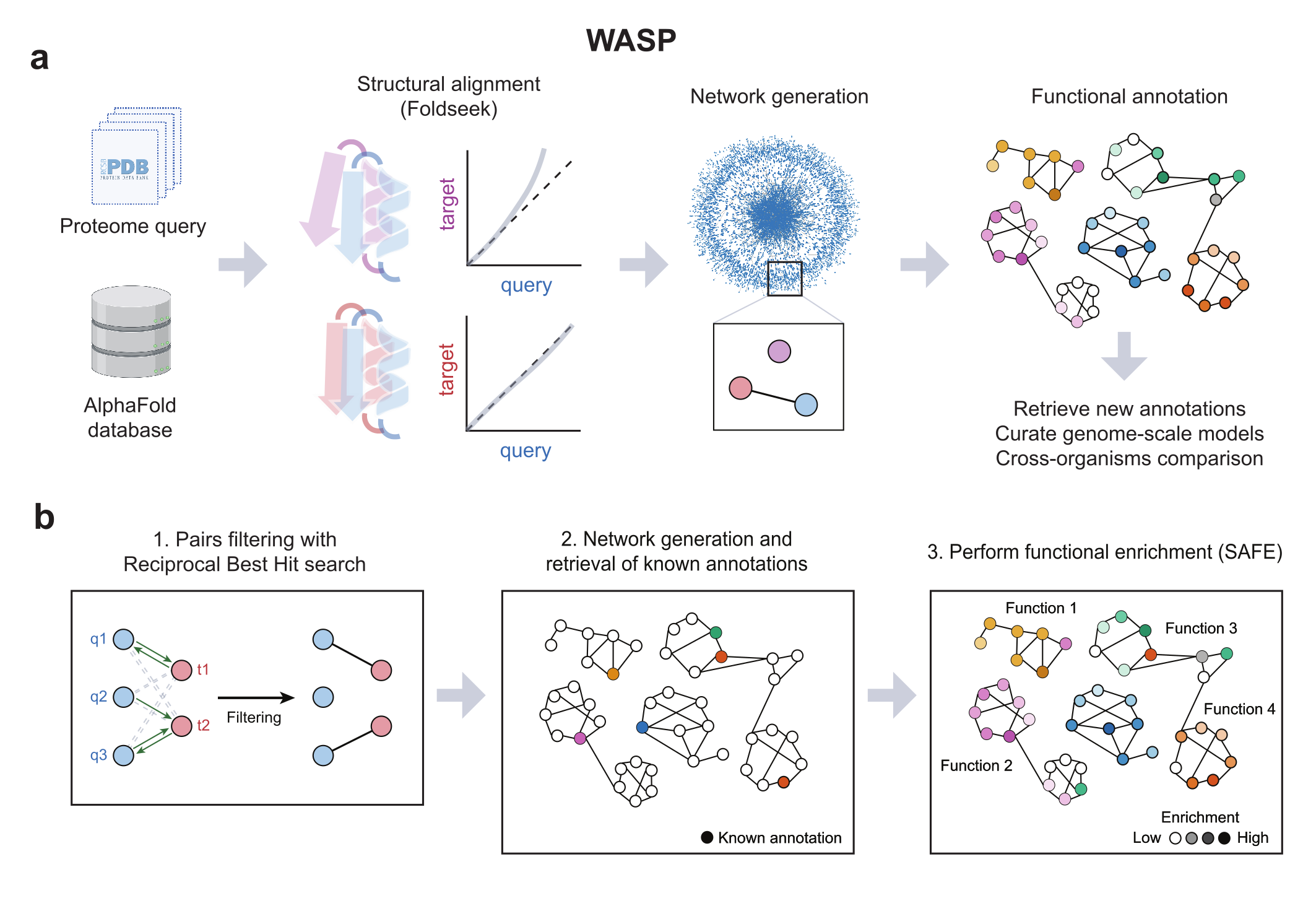 Wasp A Pipeline For Functional Annotation Based On Alphafold Structural Models Giorgia Del 7220